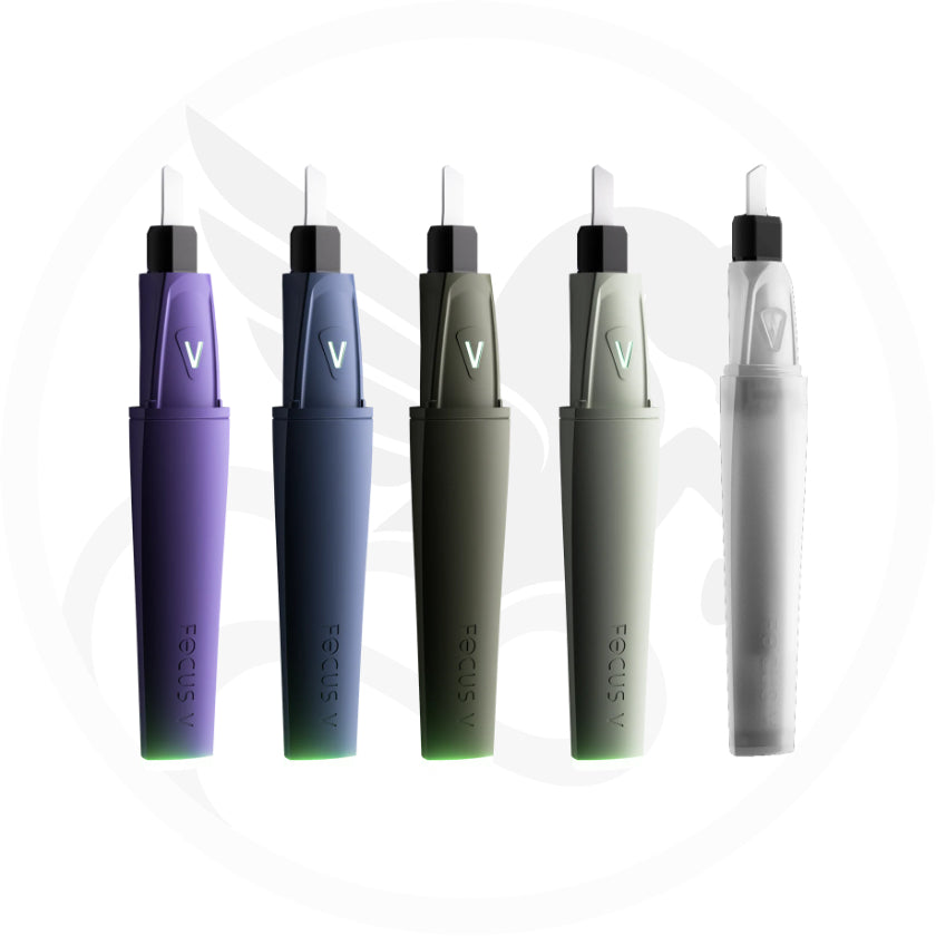 Focus V Saber Special Edition Canada - The Herb Cafe